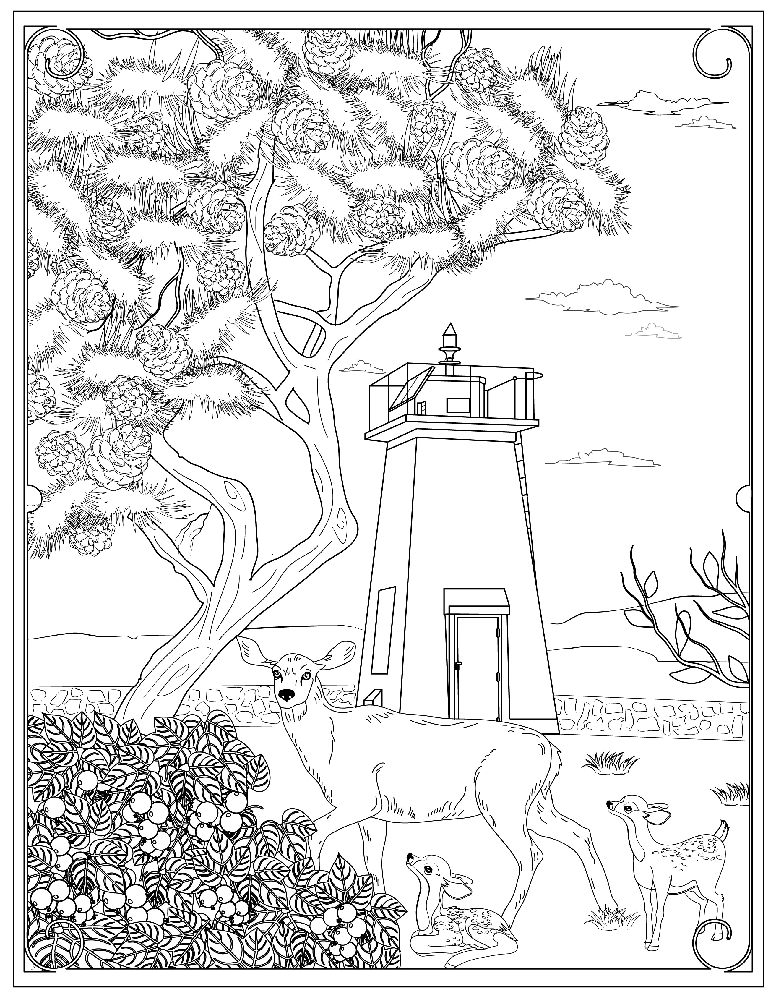 Relax and Color the Lighthouses of Washington - Individual Coloring Pa ...